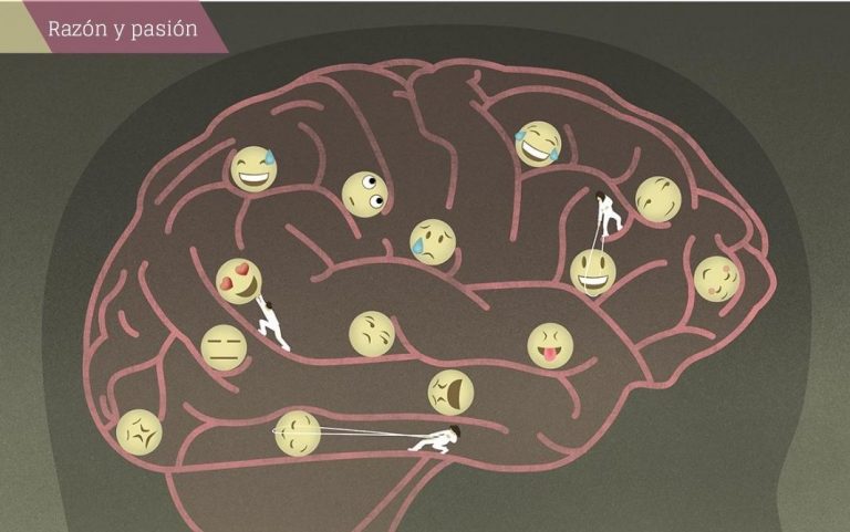 Racionalismo: la razón para llegar a la verdad – FILOSOFÍA&CO
